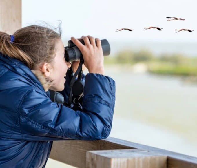 Best Laptop for SolidWorks: 8 Powerful Machines You Can Trust - Task ...